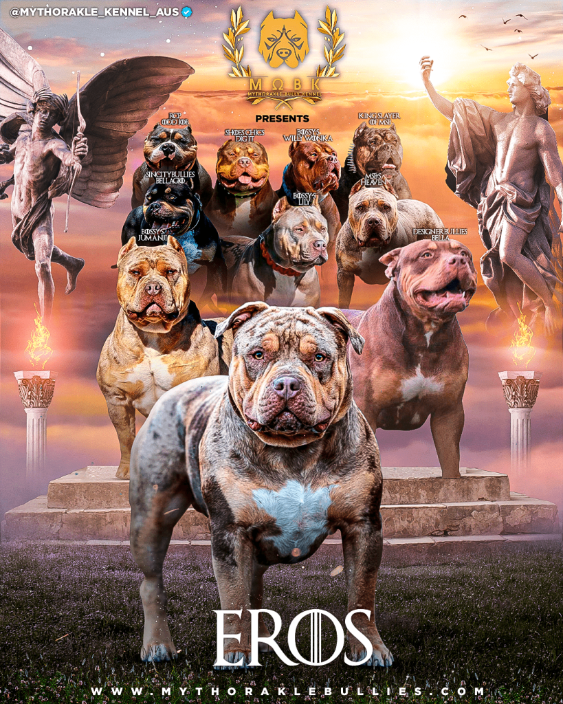 Stud - Mythorakle Bullies